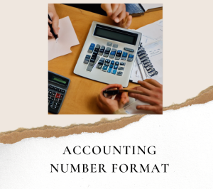 Accounting Number Format - CIRCLE OF BUSINESS
